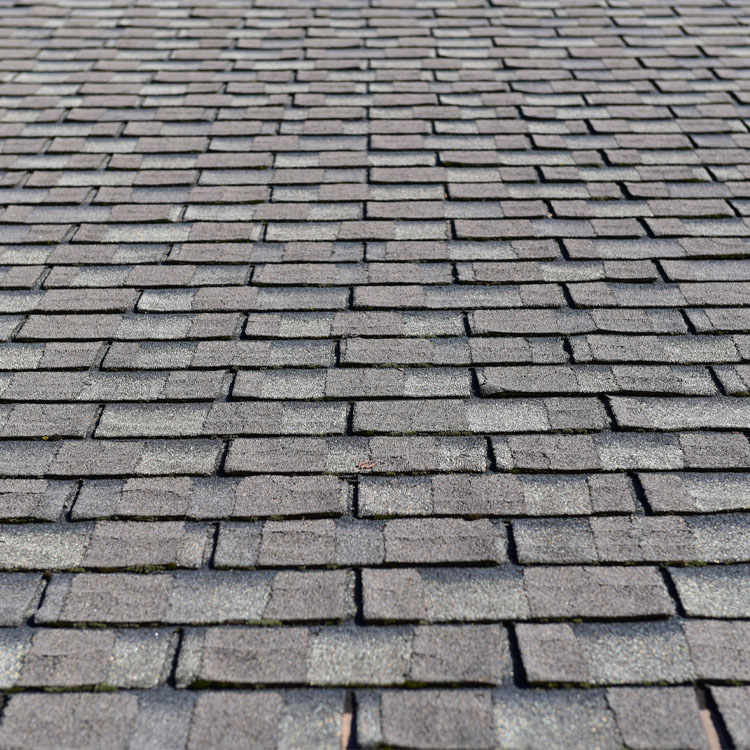 Expert Roof Cleaning Bellevue: Extend Roof Life | LYD Construction